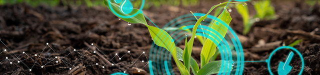 A Career in Optics | A3