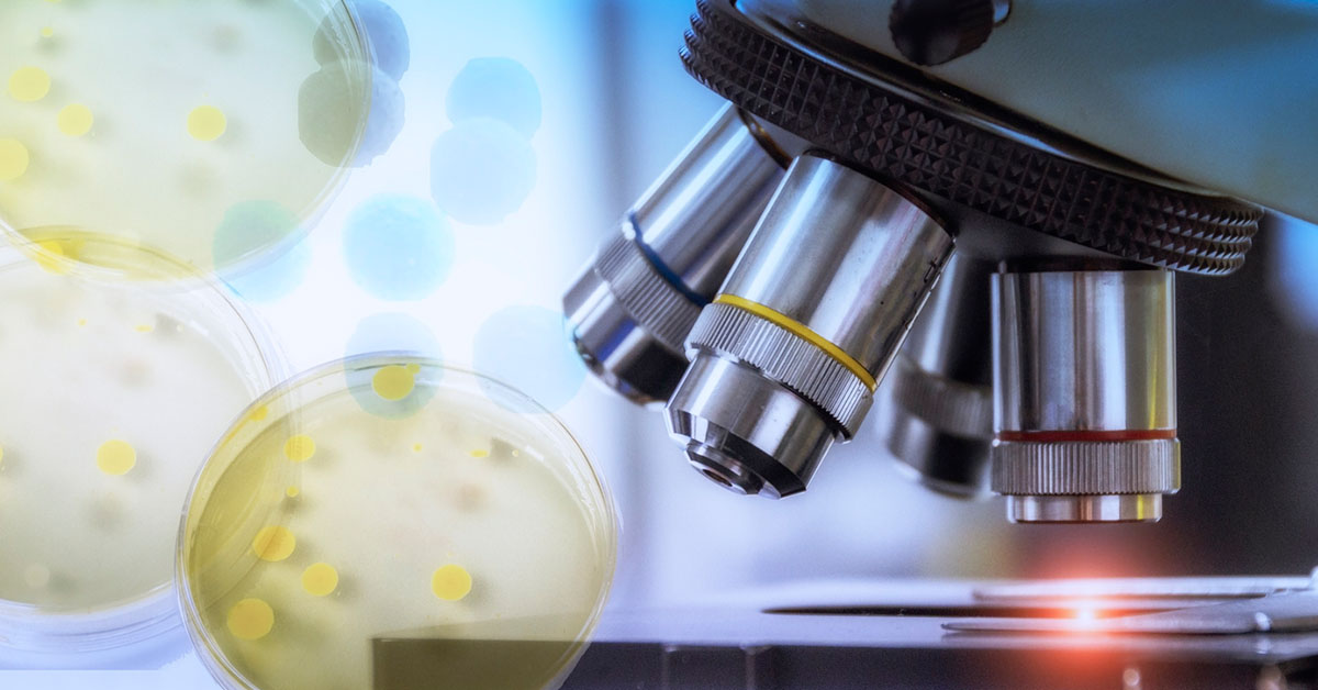 Benefits of Confocal Microscopy in Modern Life Science Applications | A3