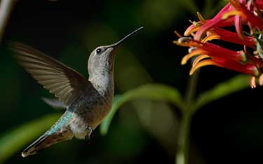 What is High Speed Photography? | A3