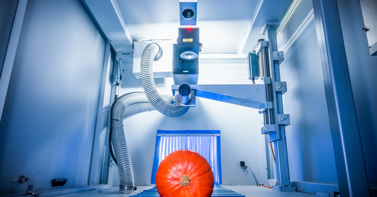 Case Studies: Development of 3D application for fruit and vegetable ...