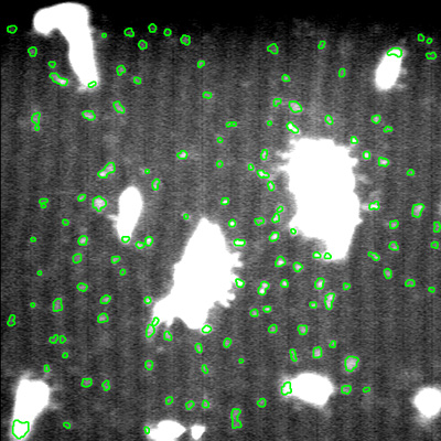 Life Science: Machine Vision Software in Life Science Applications ...
