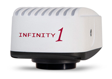 Cameras in Life Science Applications | Automate