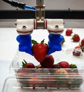 Industry Insights: A3 Industry Insights | How to Find the Right End-of ...