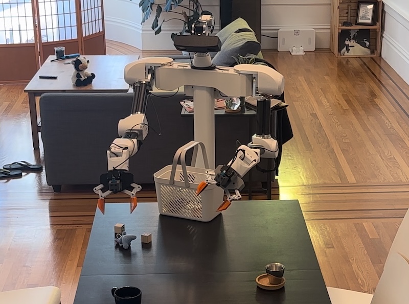 Industry Insights: This Company is Delivering Home Humanoids in 2025 ...