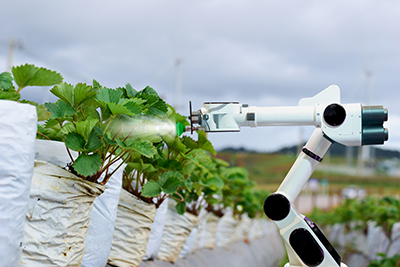How Do Farmers Use Machine Vision in the Agriculture Industry? | A3