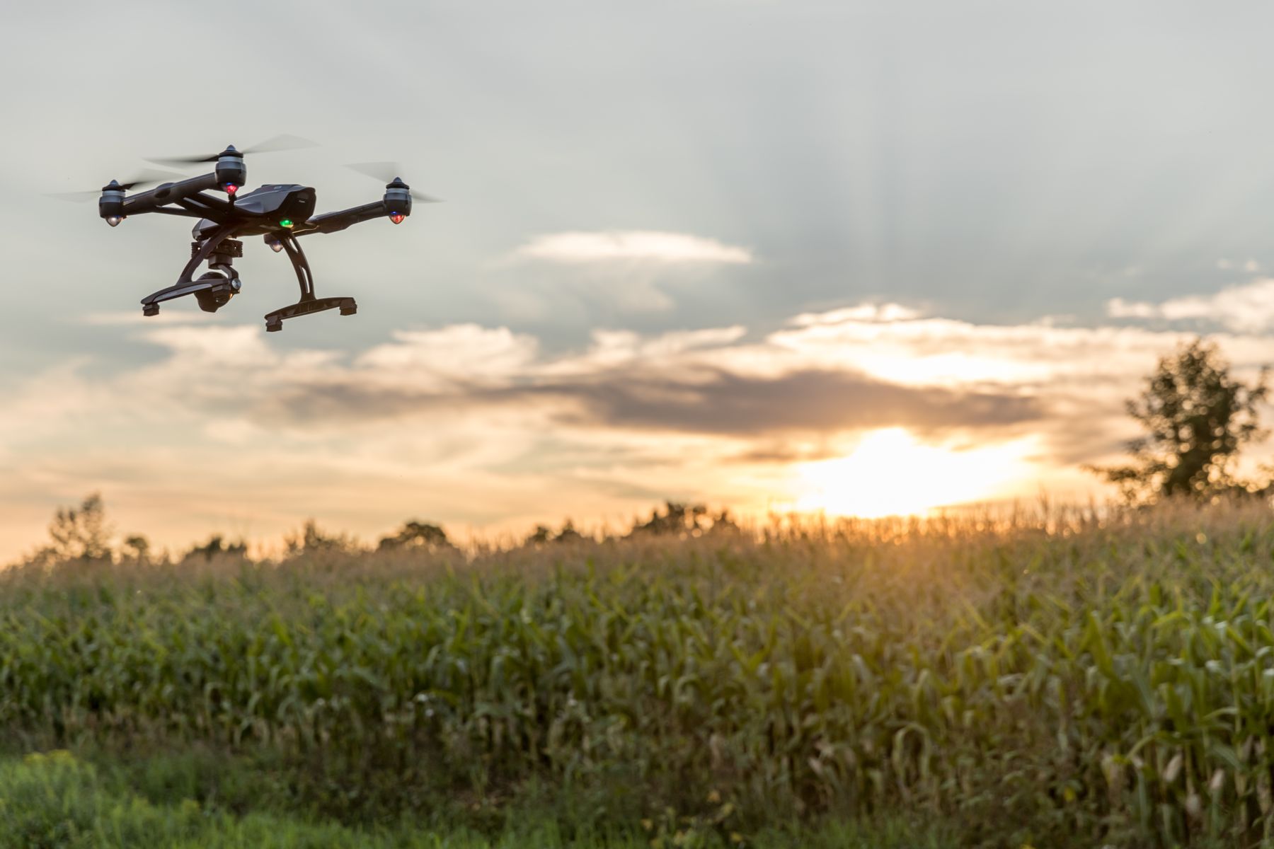 Role of Systems in High-Throughput Plant Phenotyping | A3