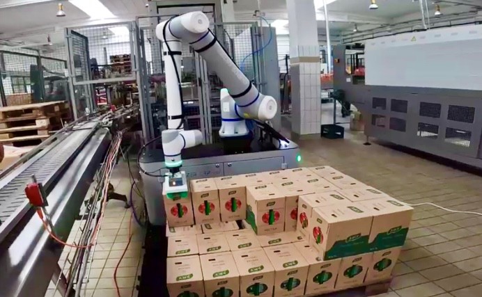 Editorials: Is Automated Palletizing Cost-Effective for Your Business?